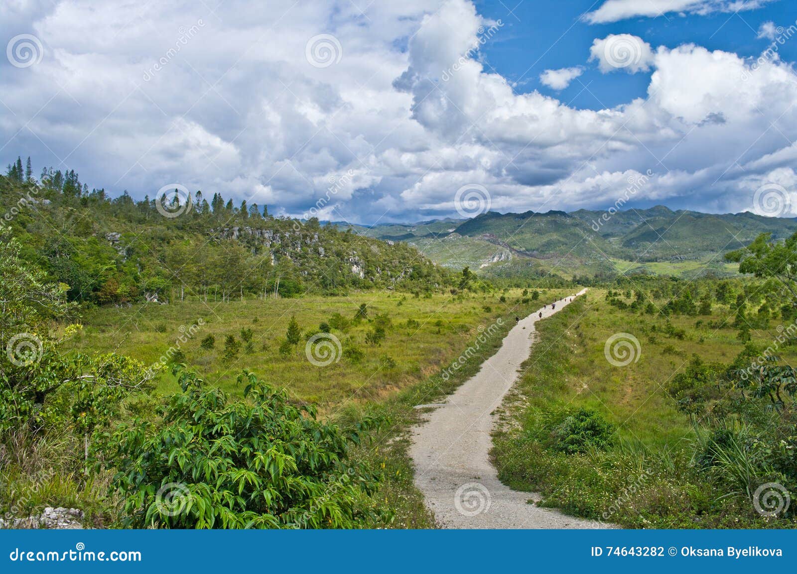 Rural Landscape in Mountains, New Guinea Stock Photo - Image of ...
