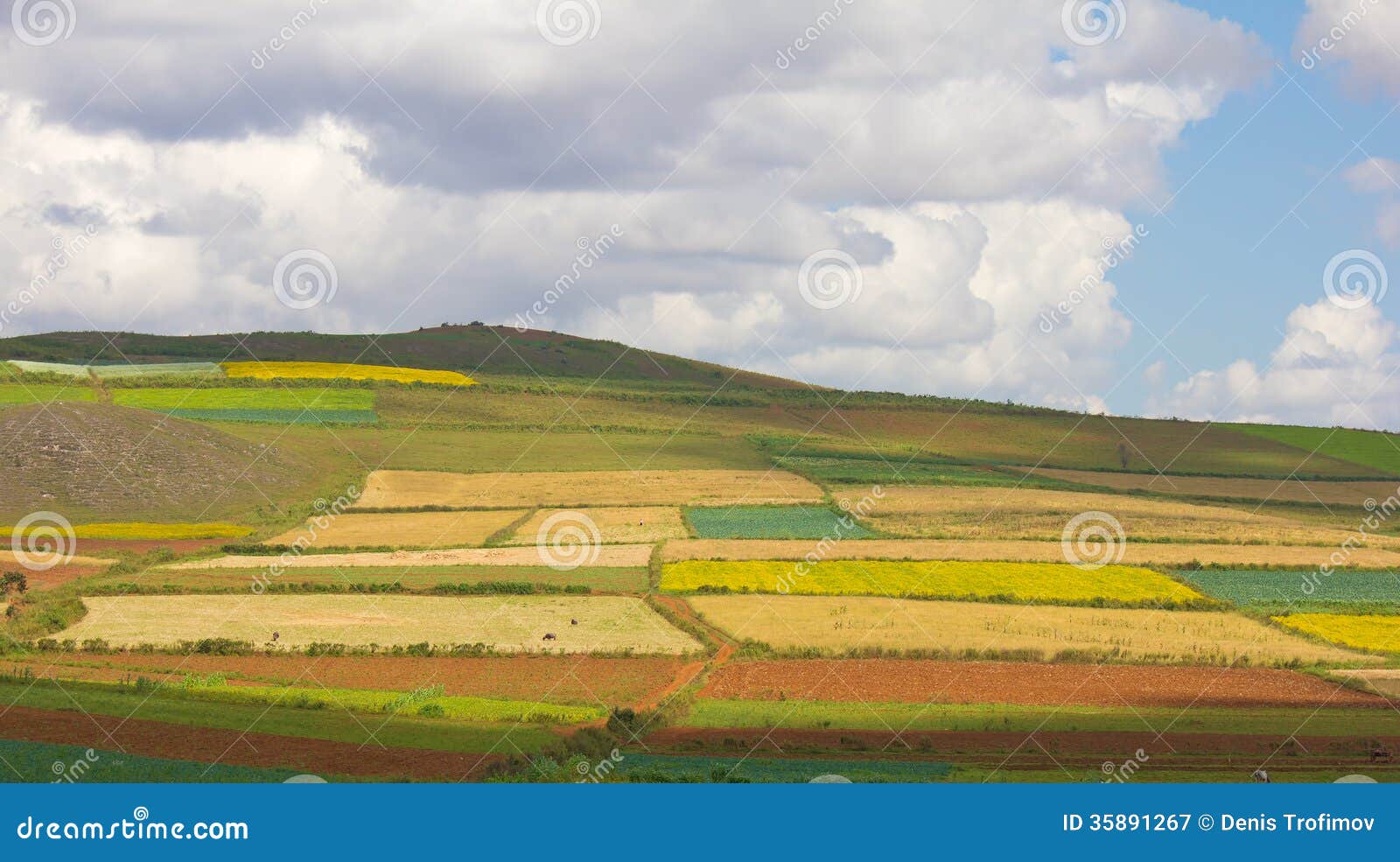 Rural Landscape with Multicolored Patches of Fields Stock Image - Image ...