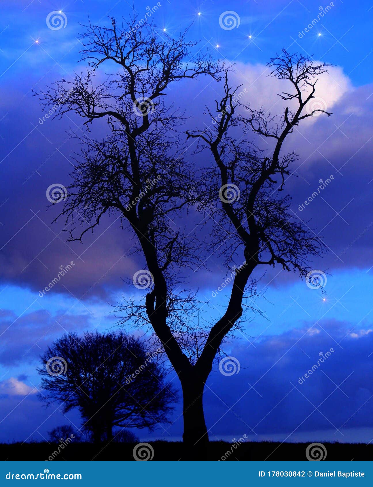 Rural landscape at night stock photo. Image of overcast - 178030842