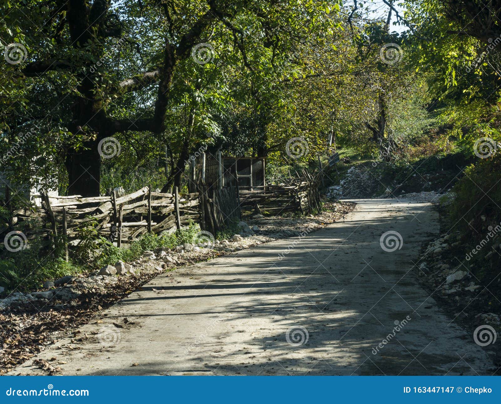 Rural Landscape with Old Road in Forest Stock Image - Image of green ...