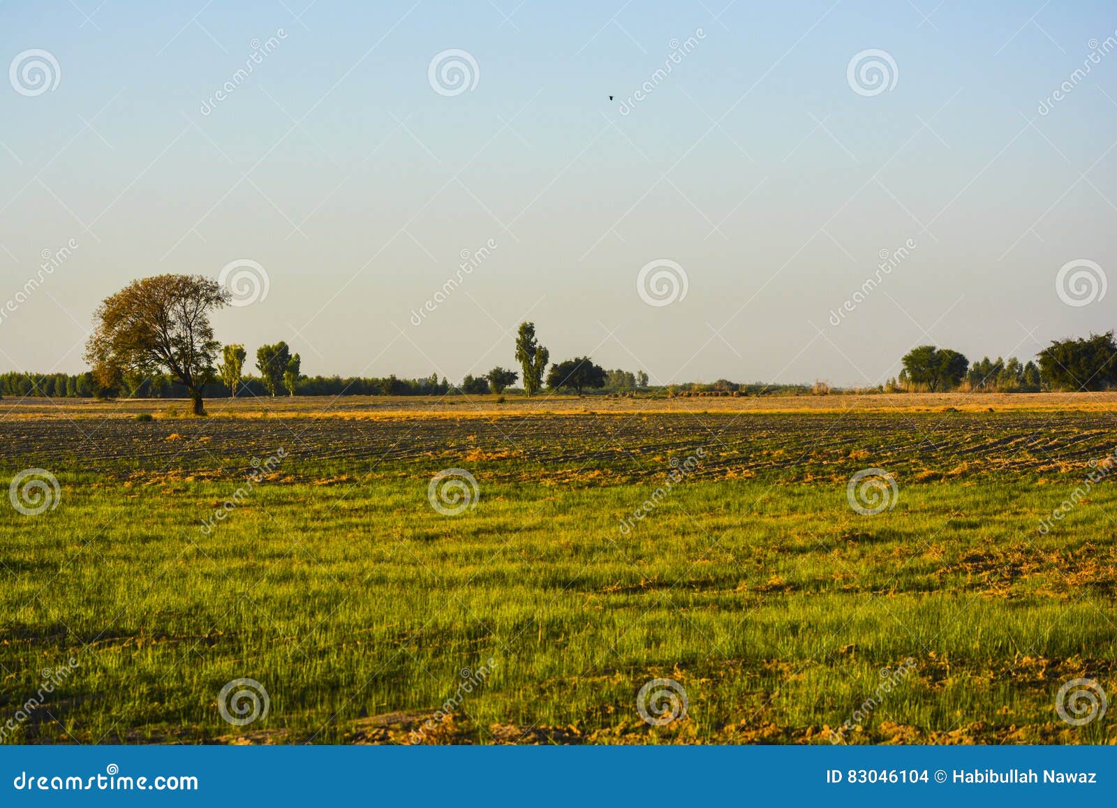Rural Landscape Pakistan stock photo. Image of landscape - 83046104