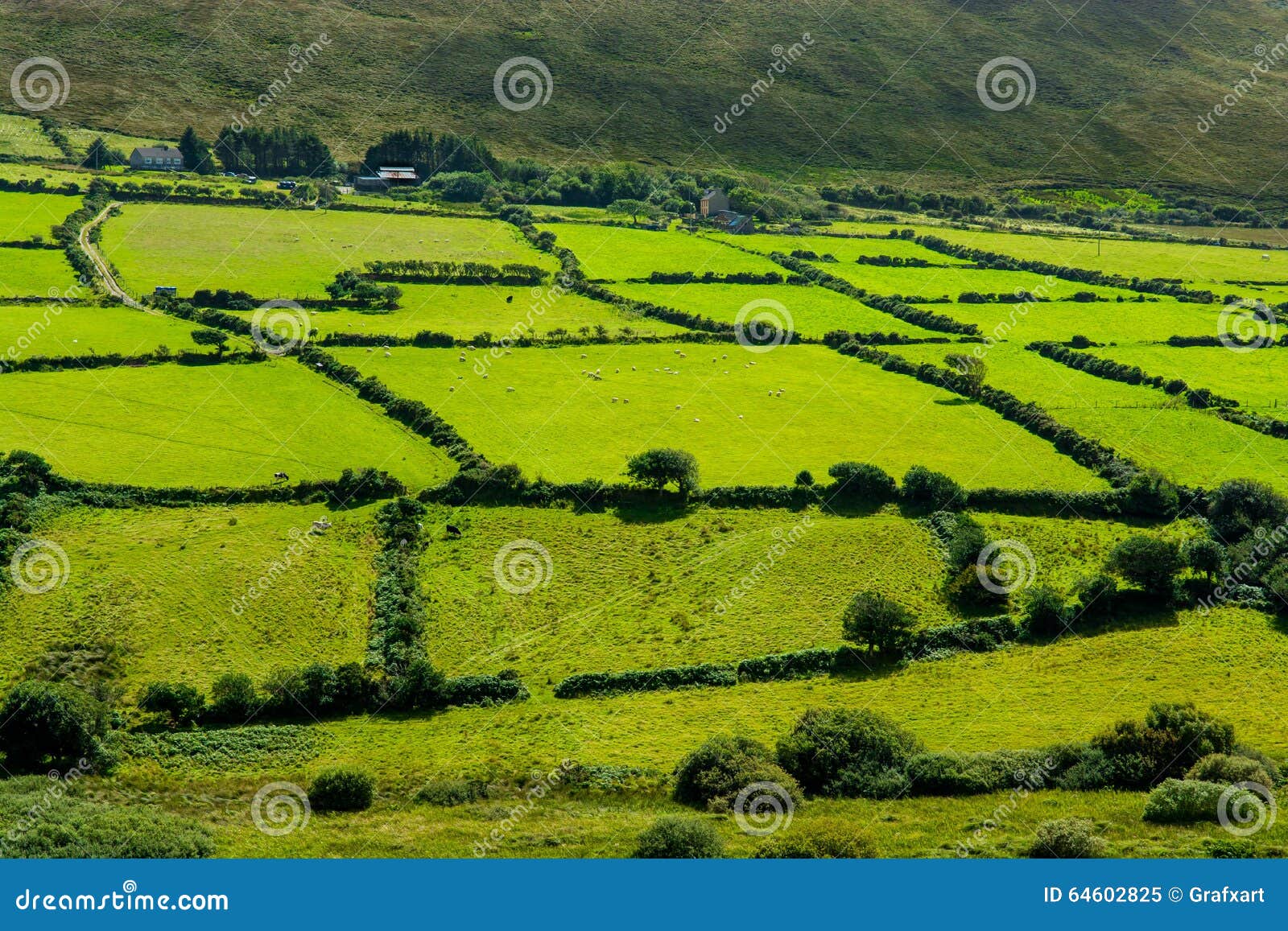 Rural Landscape with Pastures in Ireland Stock Image - Image of ...