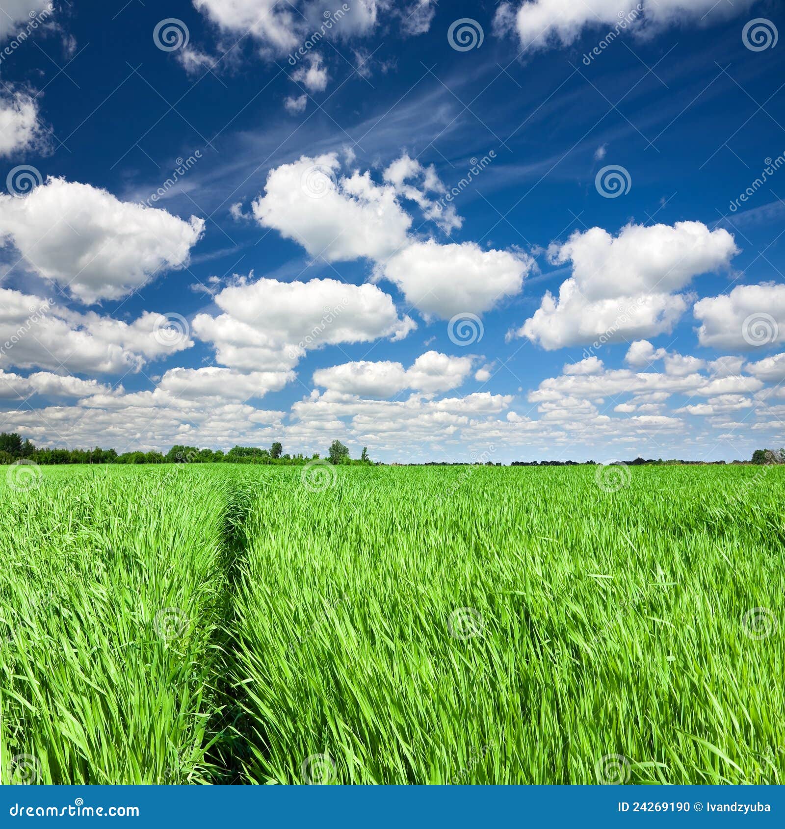 Rural Landscape with Path in the Green Field Stock Photo - Image of ...