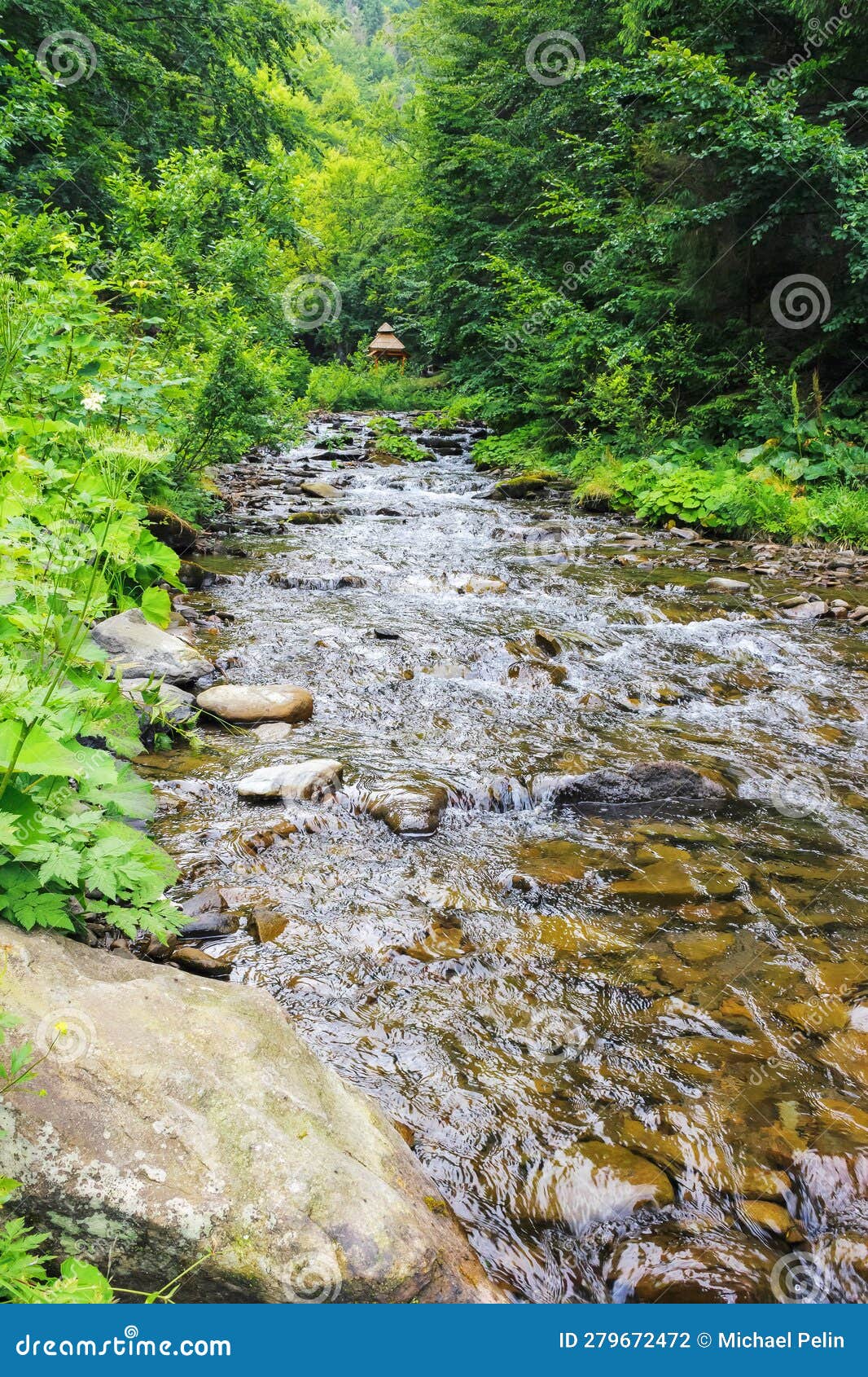 Rural landscape with river stock photo. Image of green - 279672472
