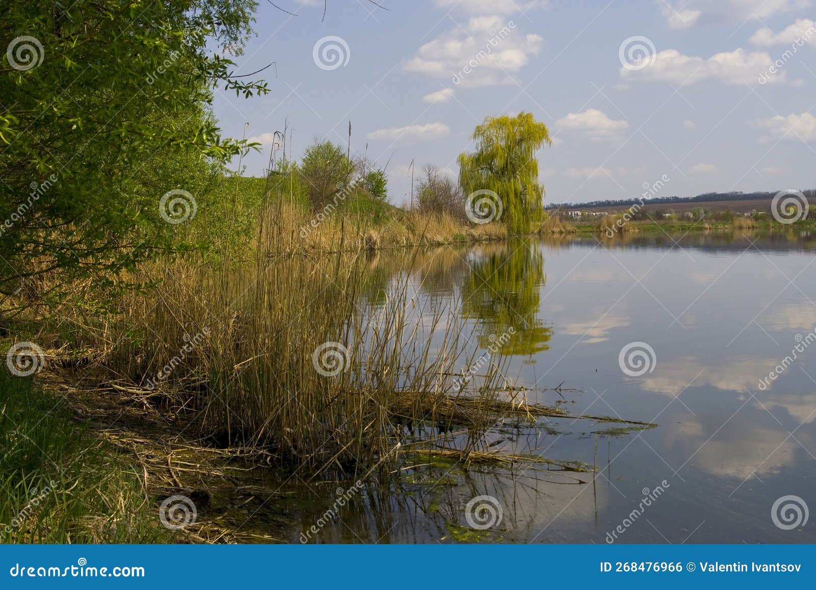 Rural Landscape with a River and Vegetation on the Shore Stock Photo ...