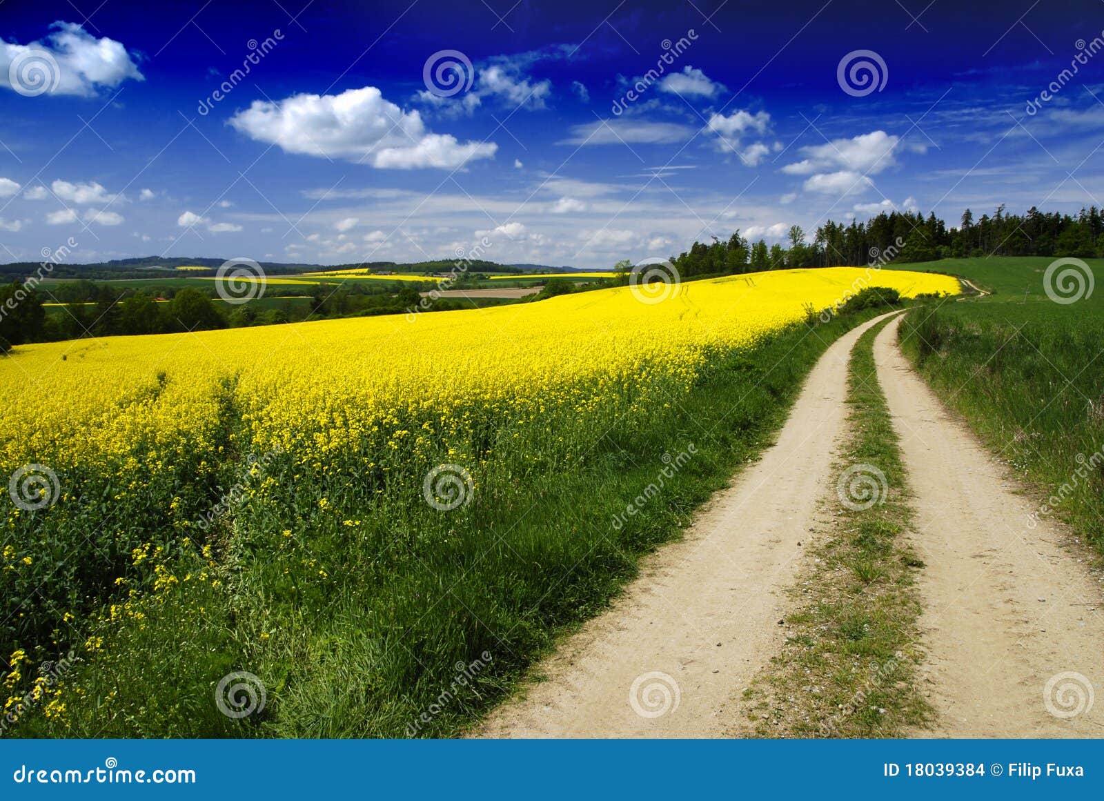 Rural landscape and road stock photo. Image of background - 18039384