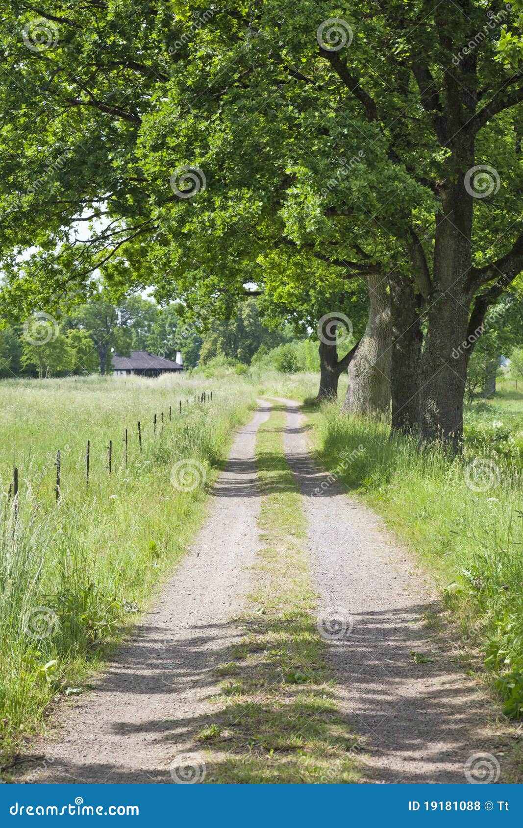 Rural landscape road stock photo. Image of grass, scenic - 19181088