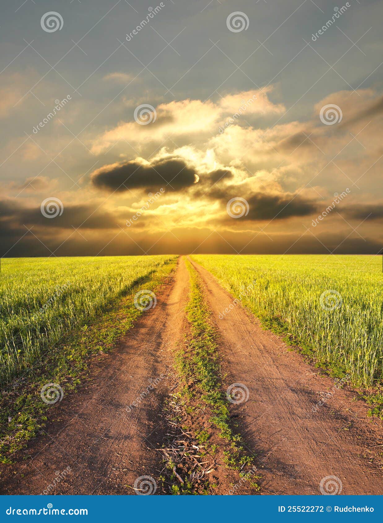 Rural Landscape with a Road Stock Photo - Image of grass, landscape ...