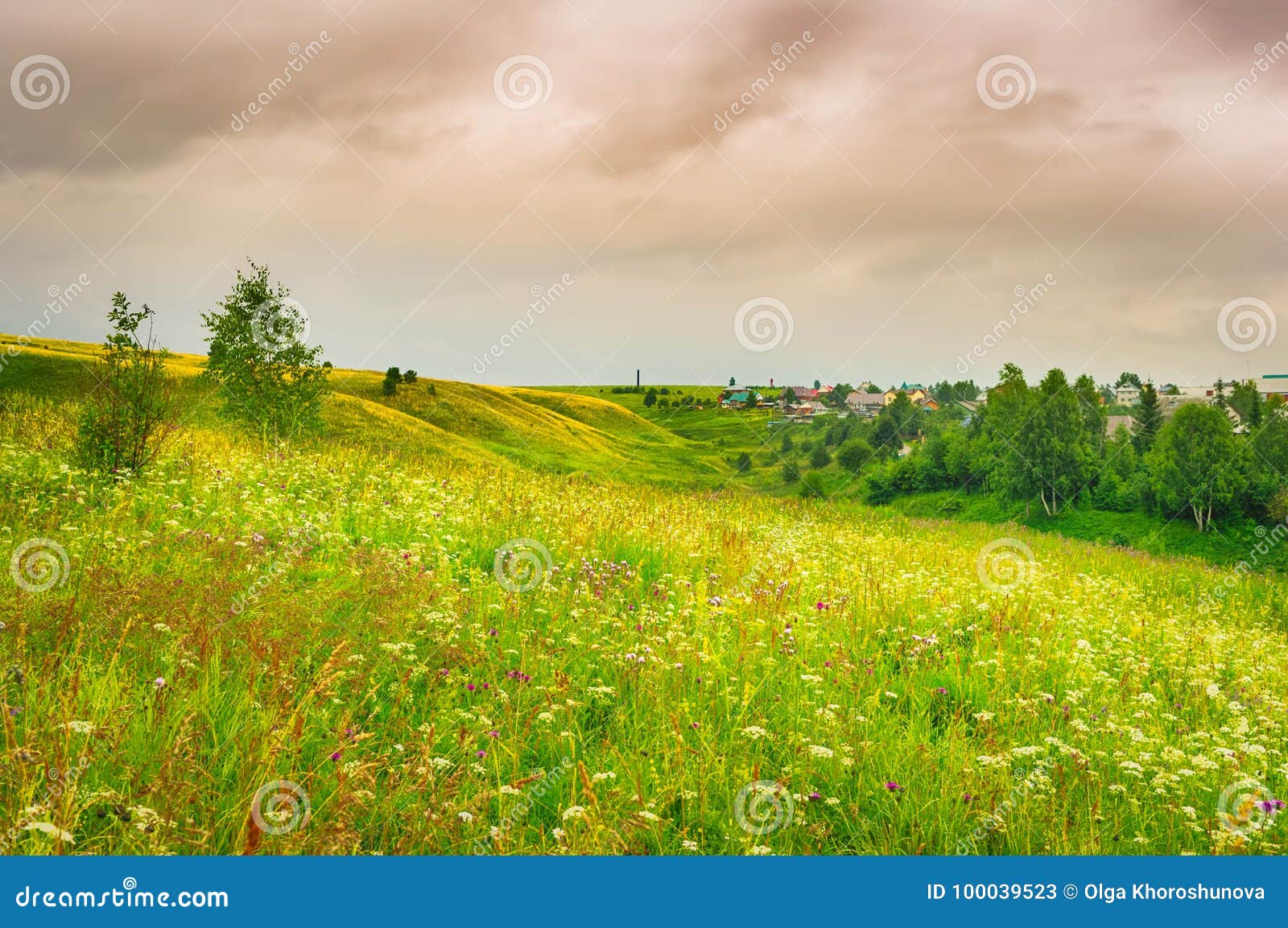 Rural landscape. Russia stock image. Image of scenery - 100039523