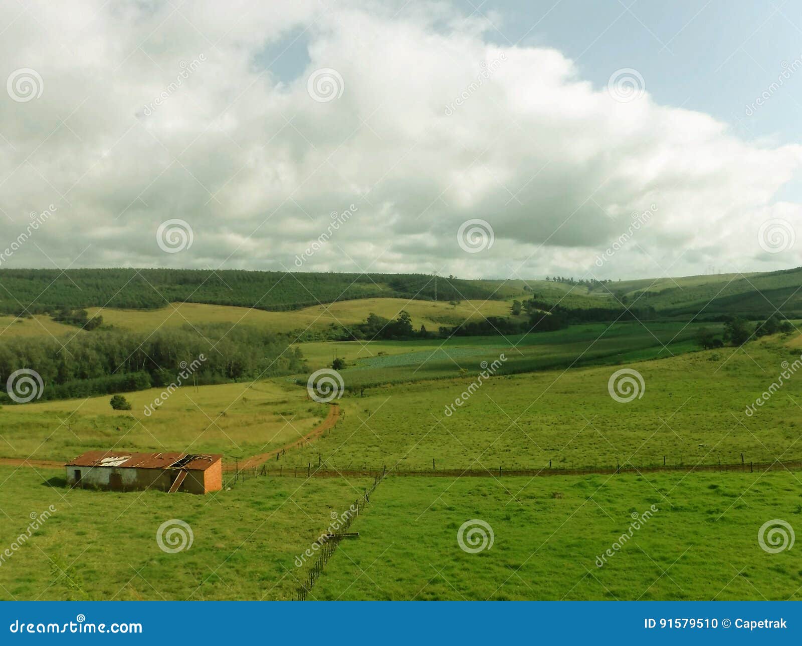Rural landscape stock photo. Image of vegetation, plains - 91579510