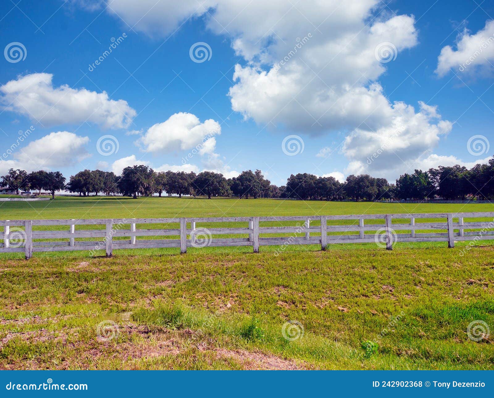 Rural Florida Landscape Setting Stock Photo - Image of picket, farm ...