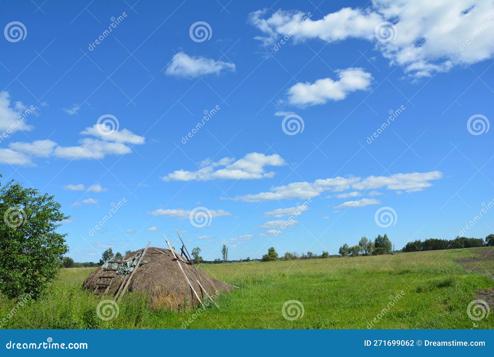Rural Landscape with a Stack of Dry Hay in the Field. Stack Dry Hay in ...