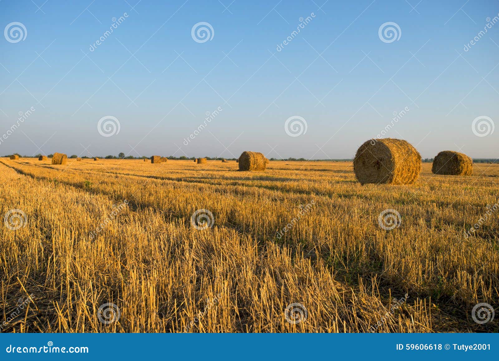 Rural Landscape with Straw Rolls. Autumn Landscape Stock Photo - Image ... Rural Landscape with Straw Rolls. Autumn Landscape Stock Photo - Image ...