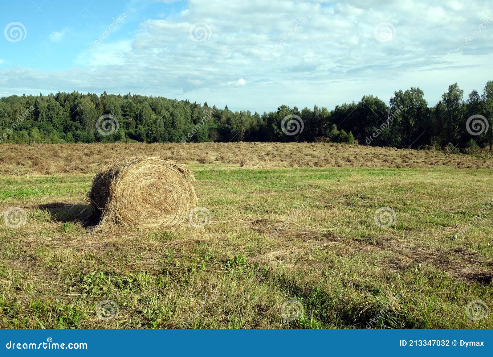Rural Landscape with Summer Field with Rolled Haystack Close-up on ...