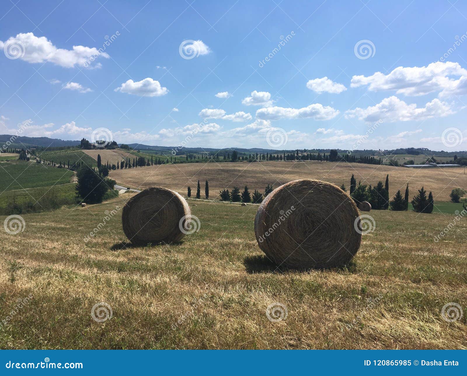 Rural Landscape of Summer Fields of Tuscany Stock Image - Image of ...