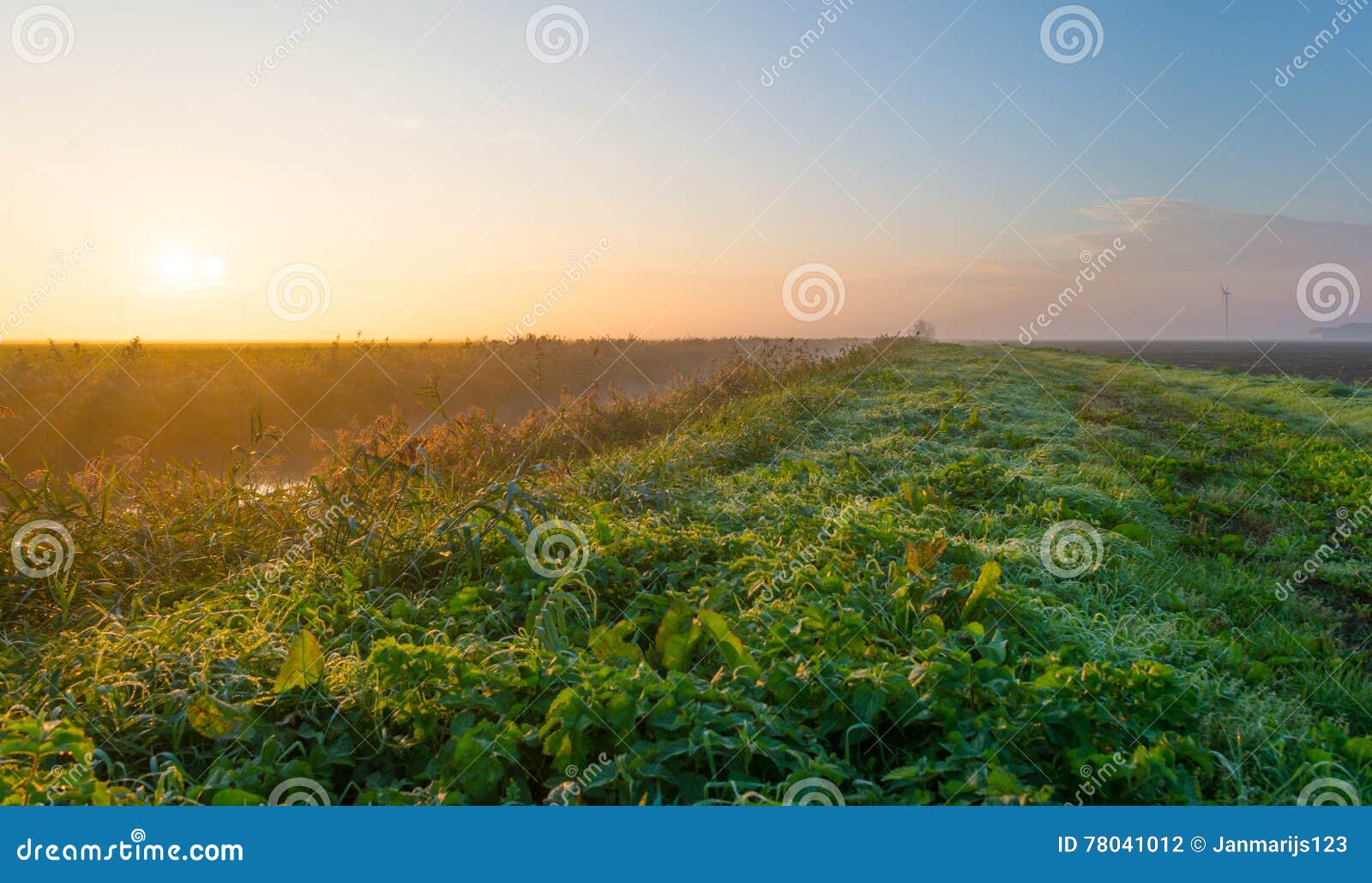 Rural landscape in summer stock photo. Image of sunlight - 78041012