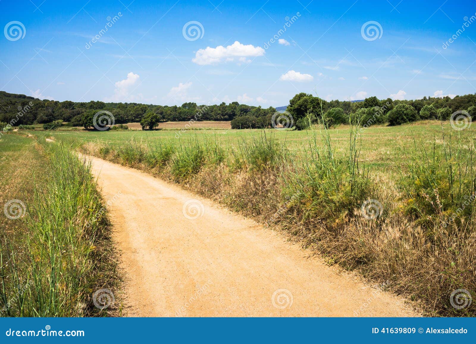 Rural landscape stock image. Image of forest, grow, grass - 41639809
