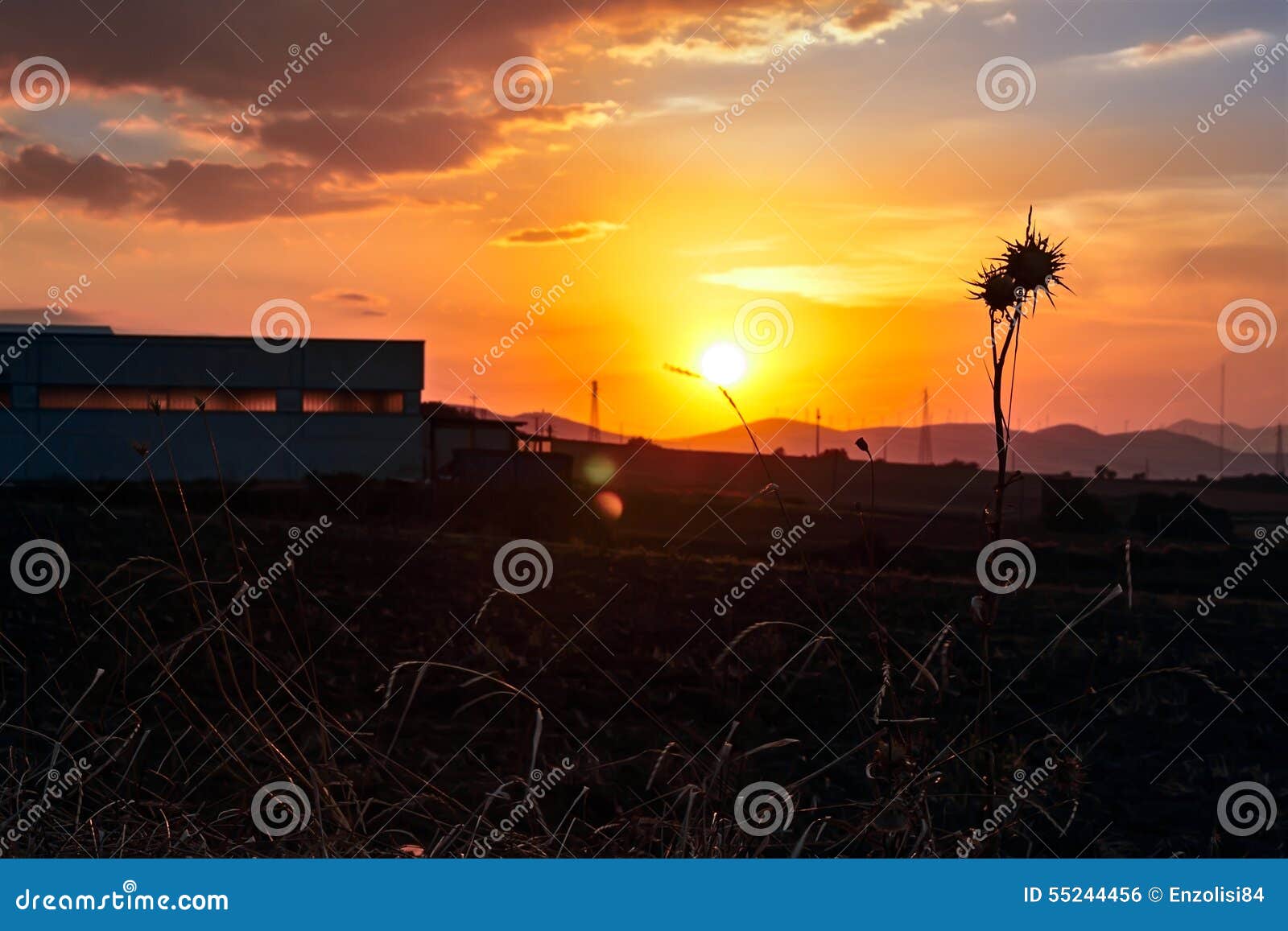 Rural landscape in sunset stock photo. Image of beauty - 55244456