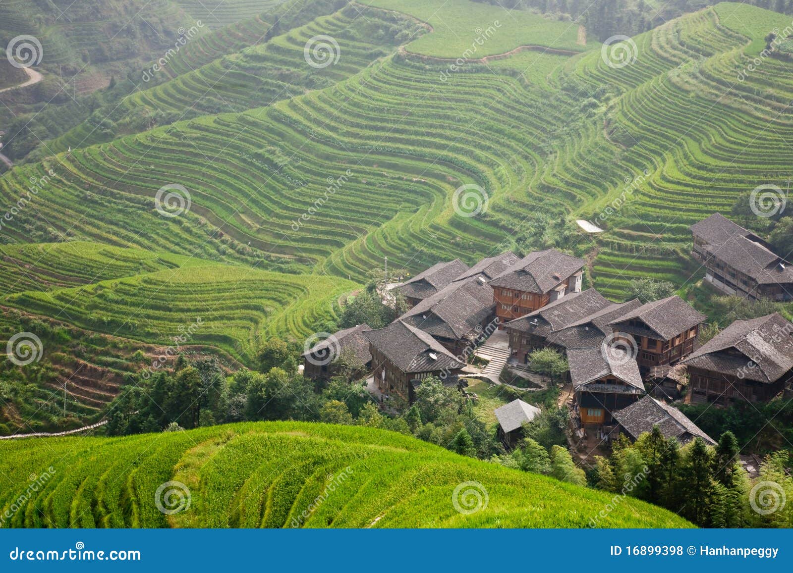 Rural Landscape of Terraces Stock Photo - Image of cultivate, cropland ...