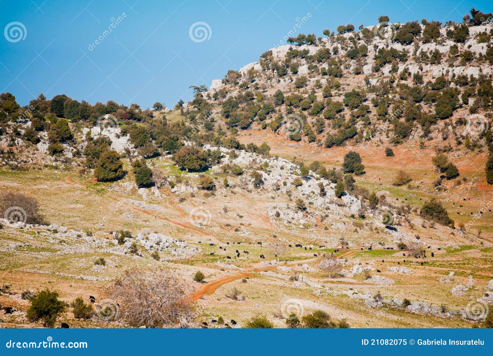 Rural landscape in Turkey stock image. Image of turkish - 21082075