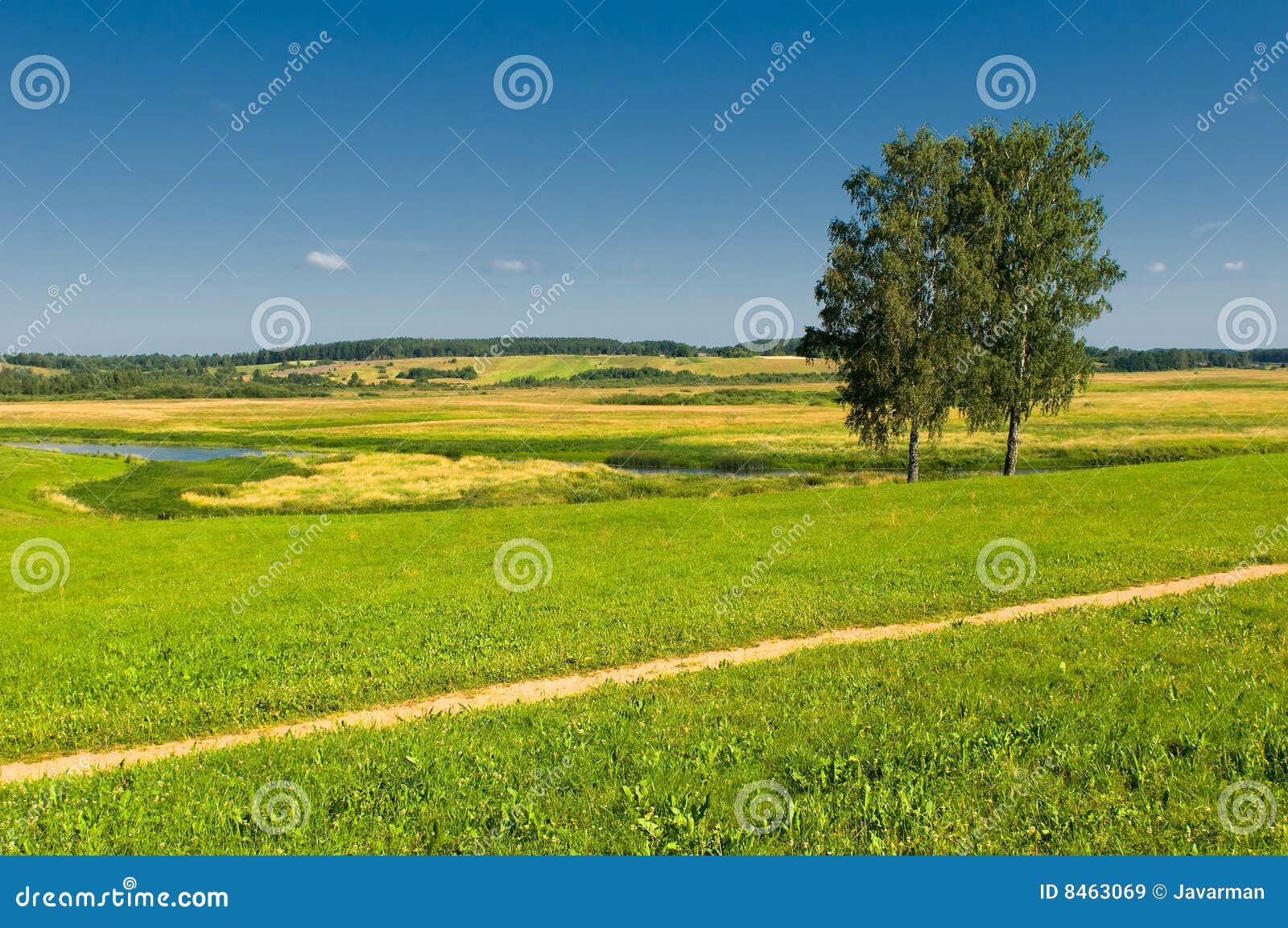 Rural Landscape with Two Trees Stock Image - Image of ground, blue: 8463069