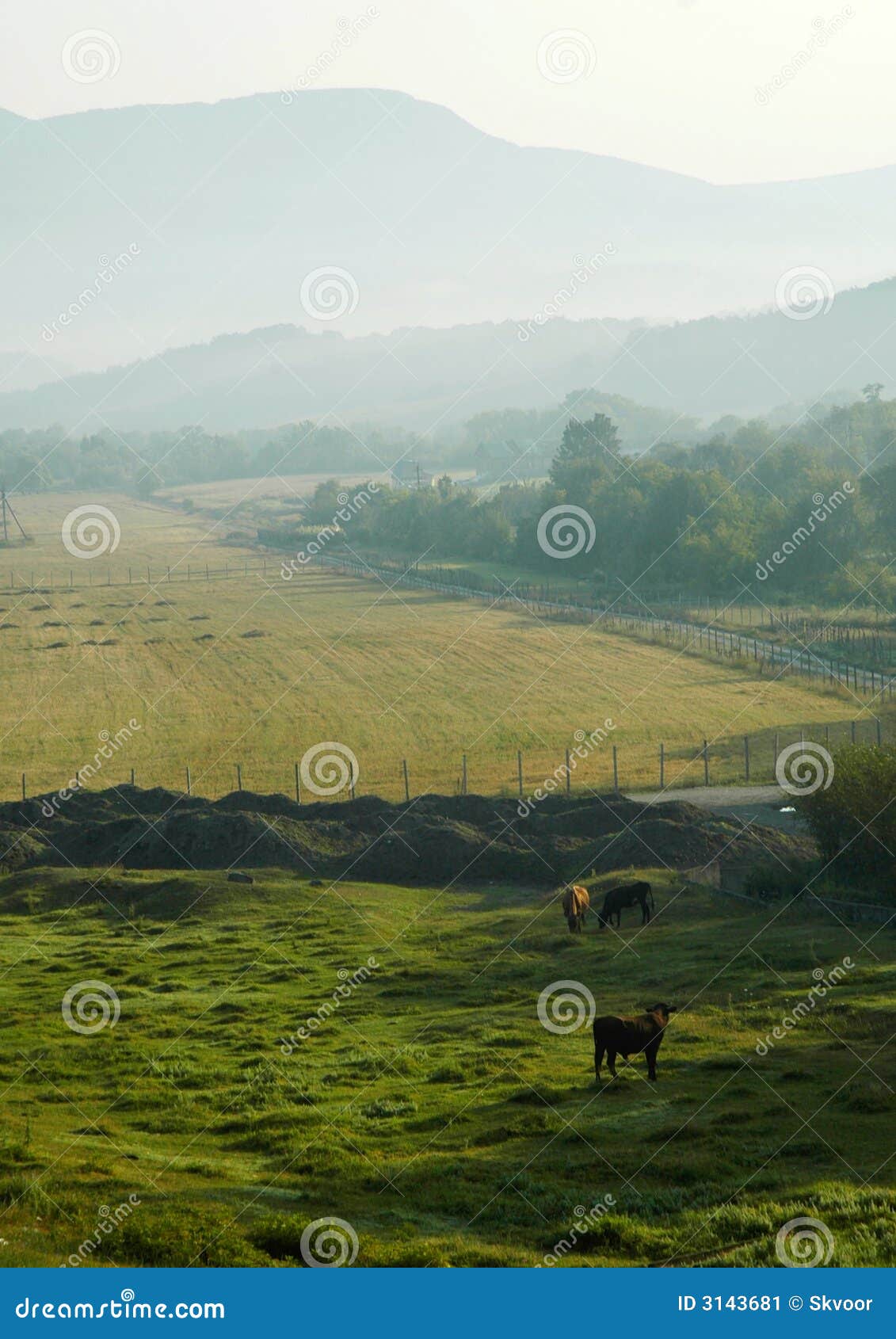 Rural landscape, Ukraine stock image. Image of mountains - 3143681
