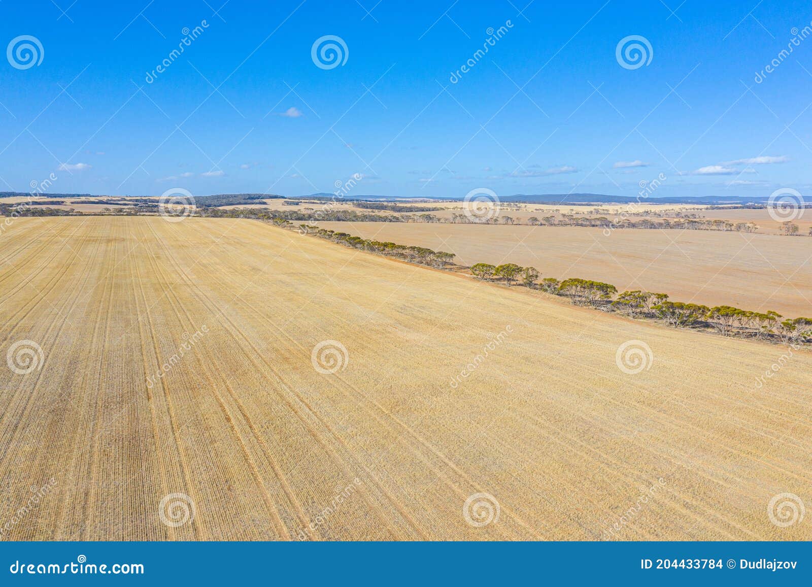 Rural Landscape of Western Australia Stock Photo - Image of road, land ...
