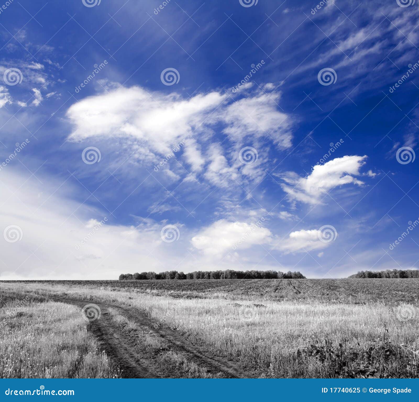 Rural lane stock image. Image of land, black, footpath - 17740625