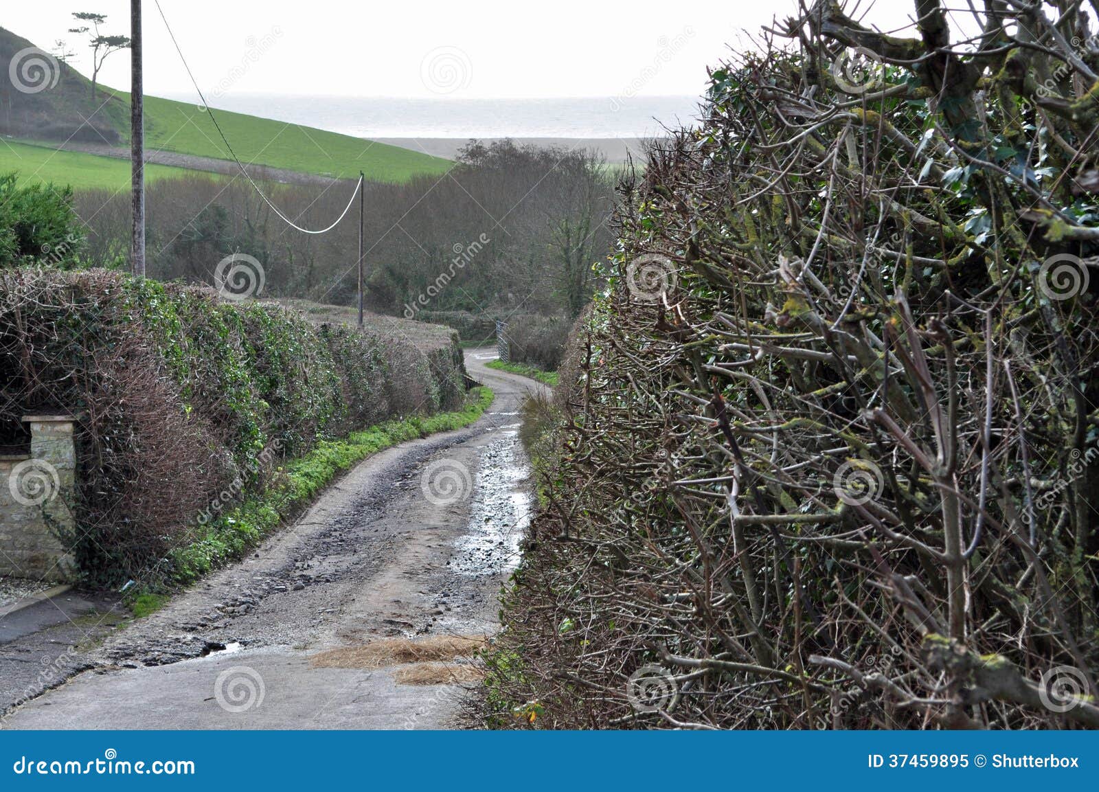 Rural Lane Going Down To the Coast Stock Image - Image of direct ...