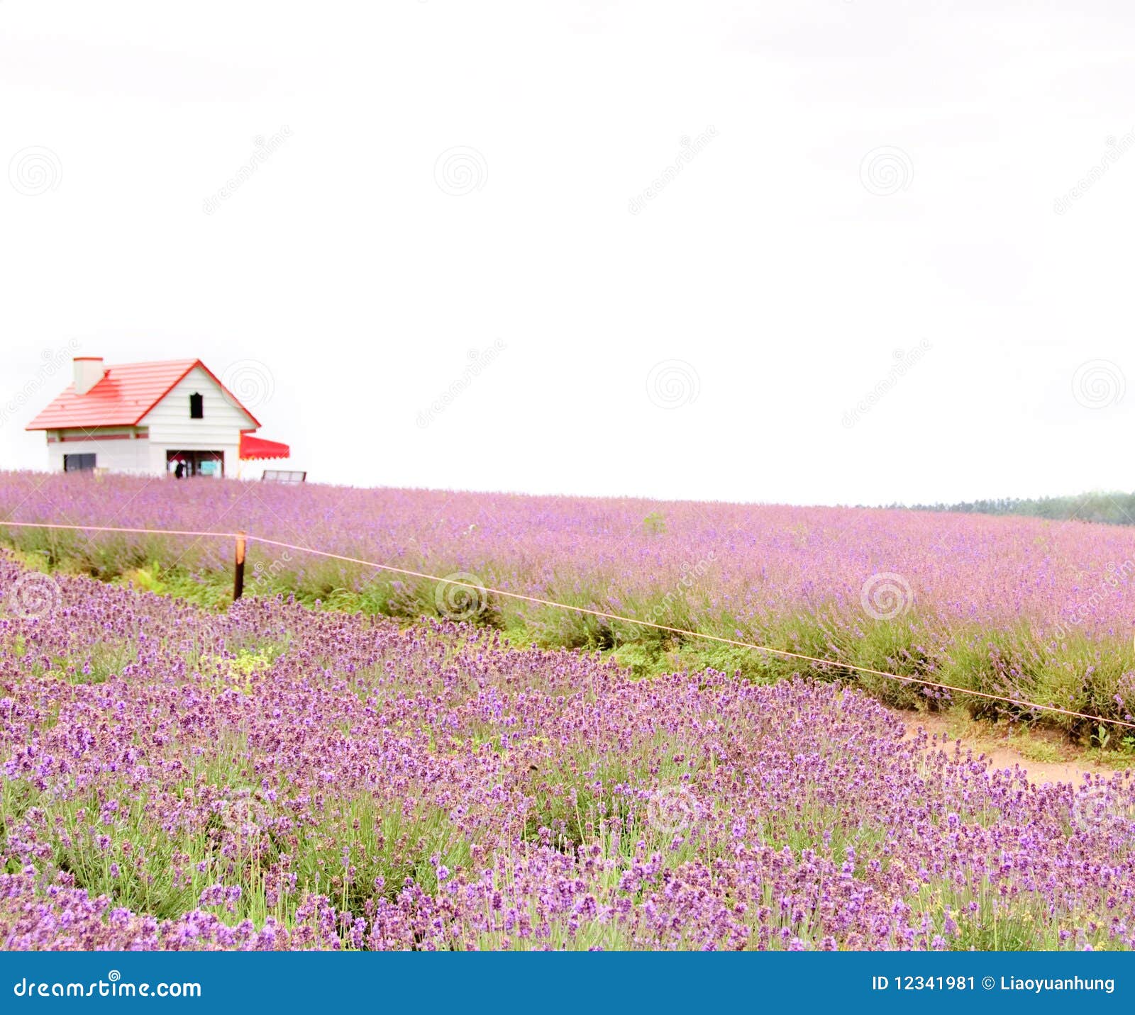 Rural life stock image. Image of house, colorful, country - 12341981