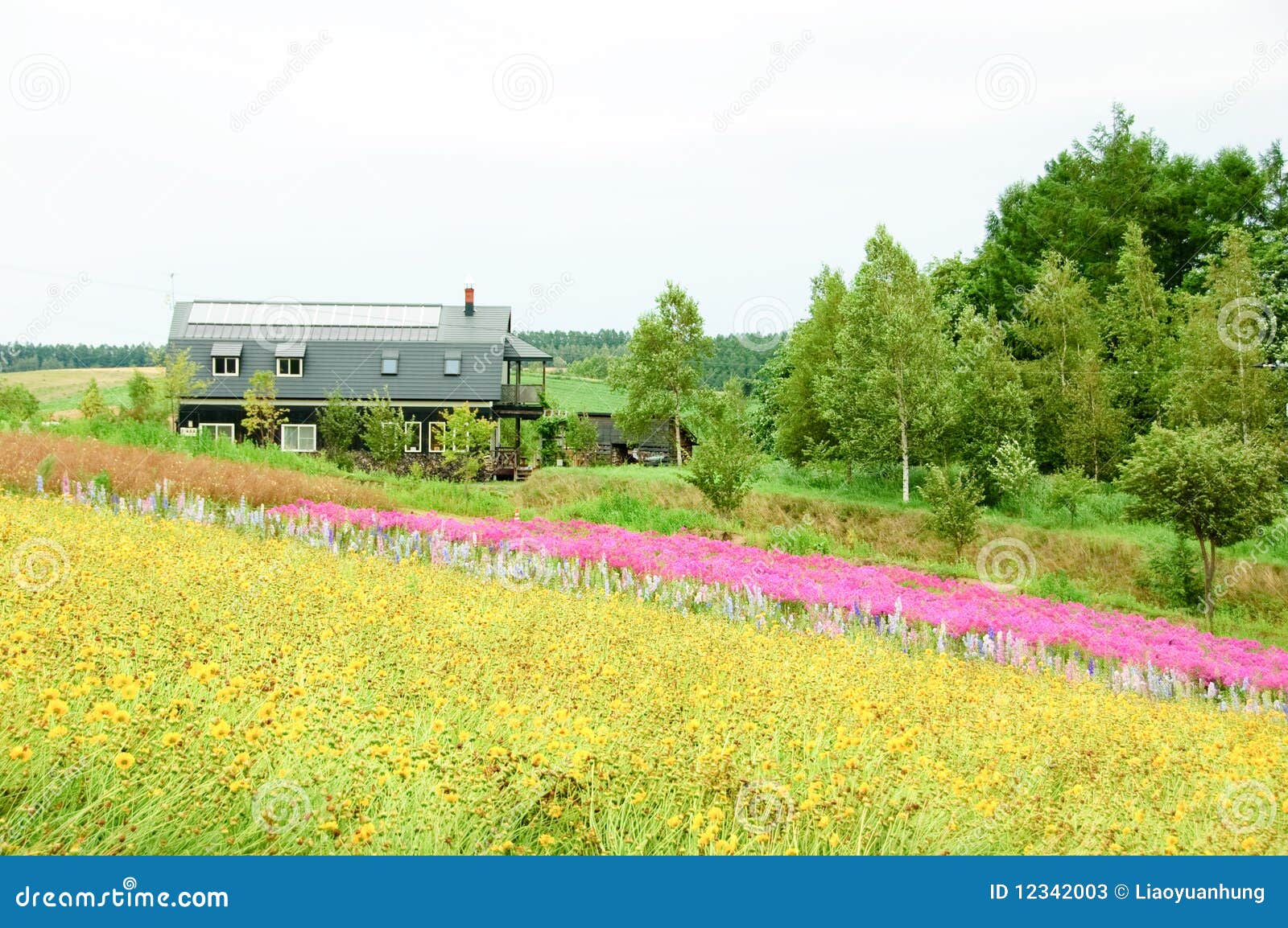 Rural life stock image. Image of colorful, farming, panorama - 12342003