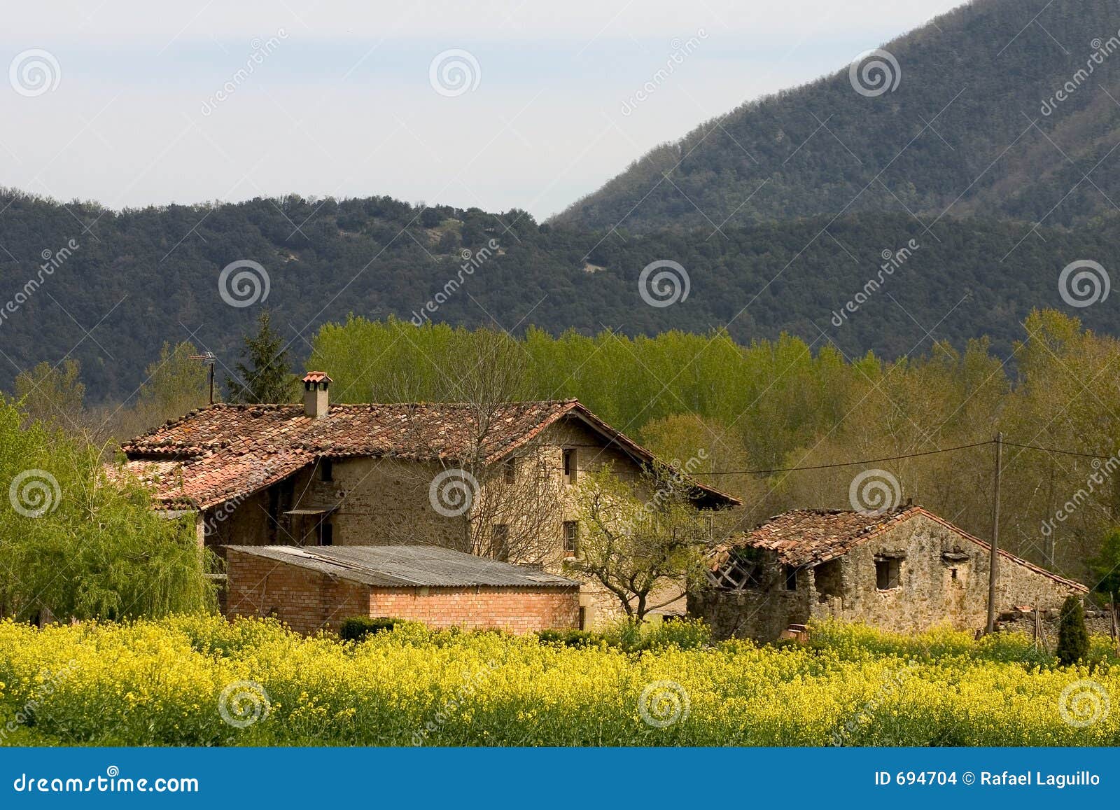Rural life stock photo. Image of color, flora, autumn, country - 694704