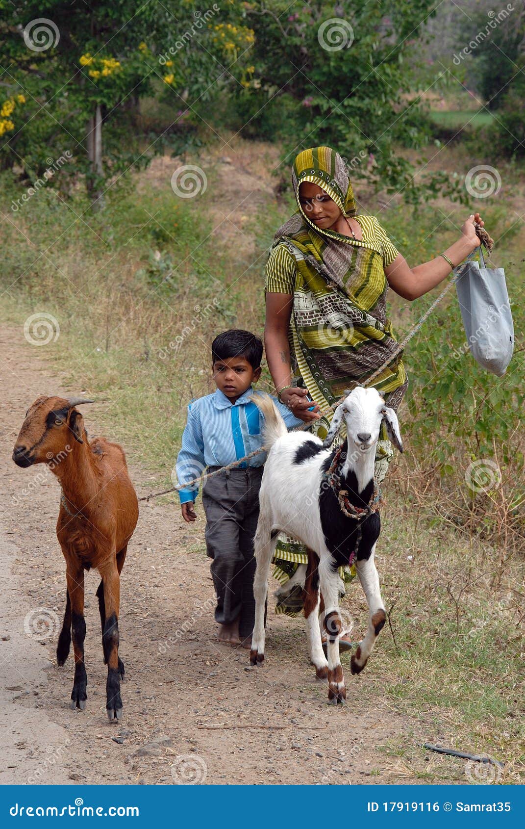 Rural life of India editorial photo. Image of rural, life - 17919116