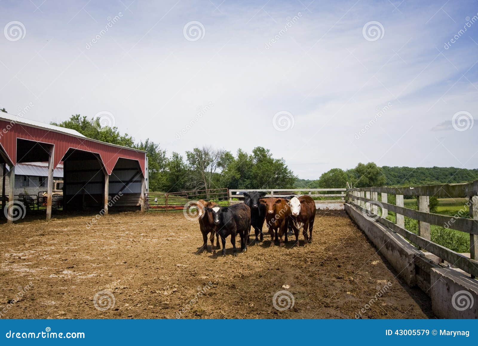 Rural life stock image. Image of agriculture, domestic - 43005579