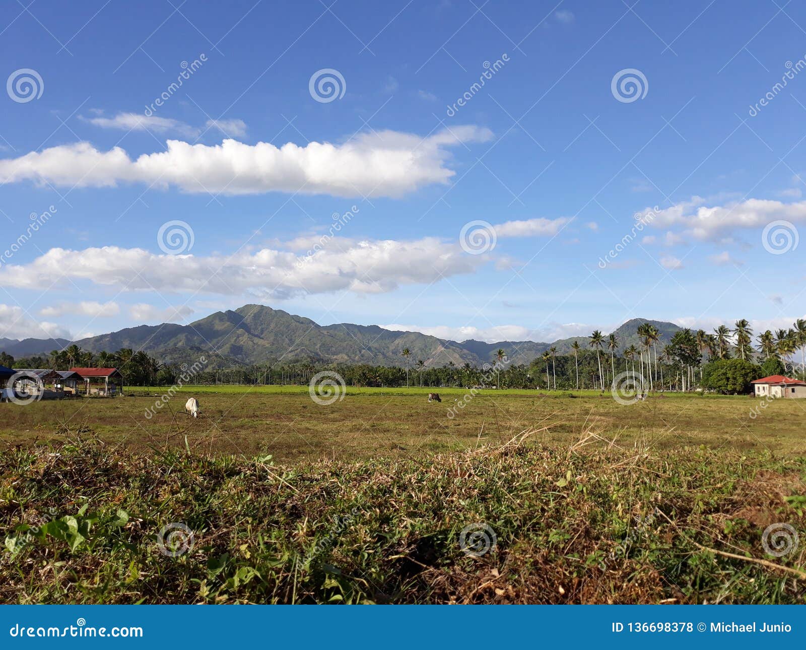 Rural life in philippines stock photo. Image of weather - 136698378