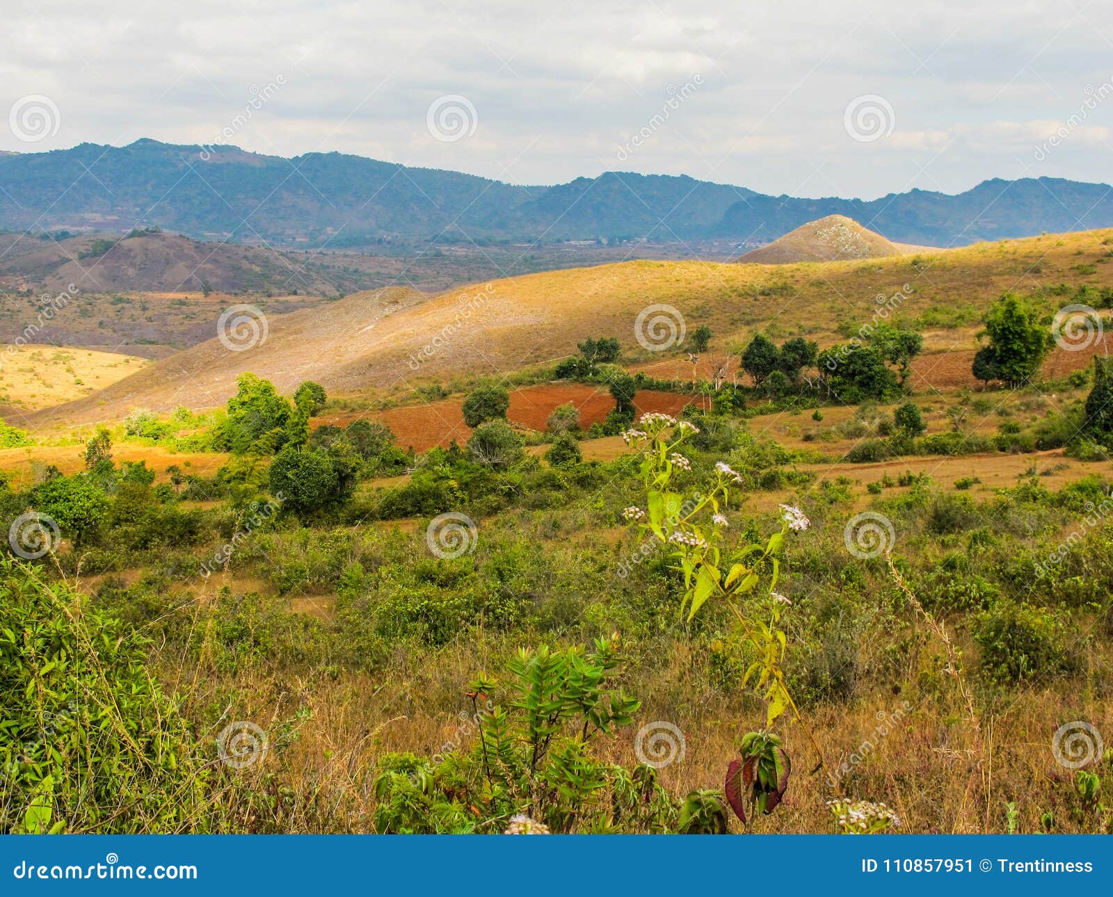 Myanmar in the summer stock image. Image of buddha, farming - 110857951