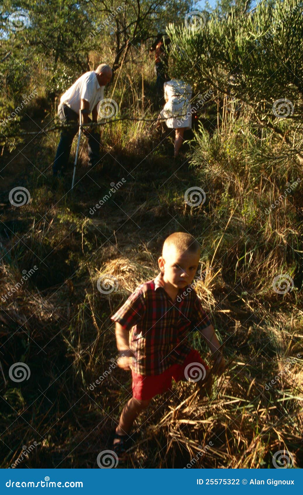 Rural life in South Africa editorial photography. Image of trees - 25575322