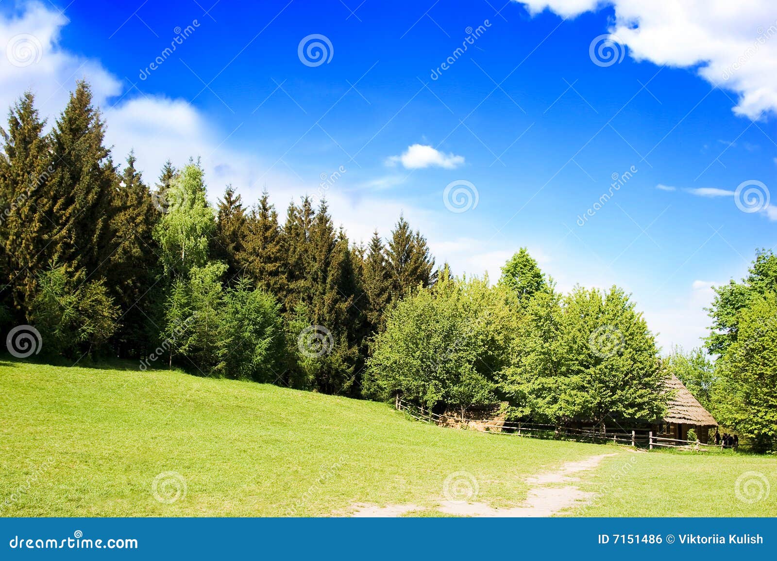 Rural log-house in forest stock photo. Image of forest - 7151486