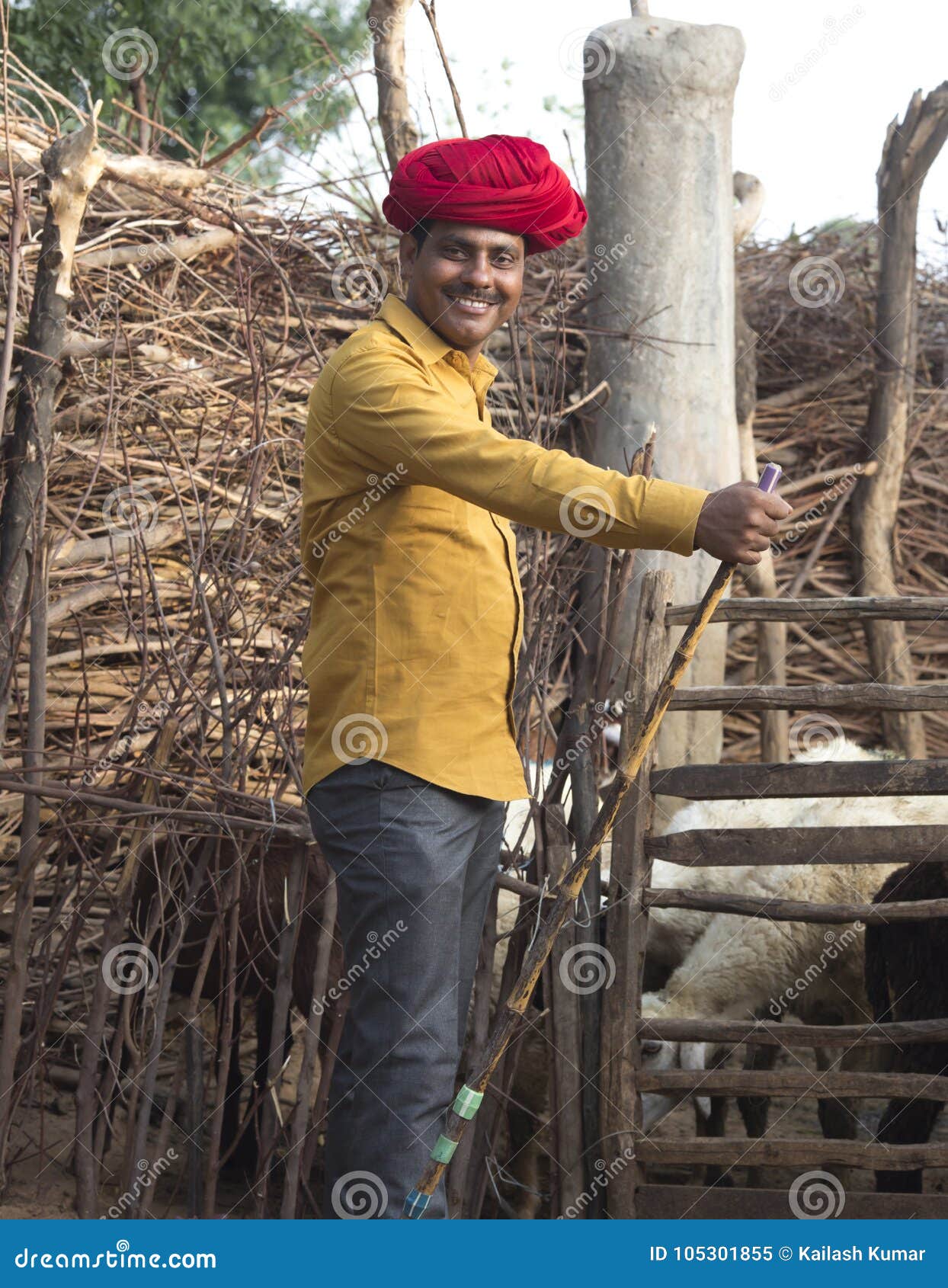 Rural Man stock image. Image of india, dhoti, herd, headwear - 105301855
