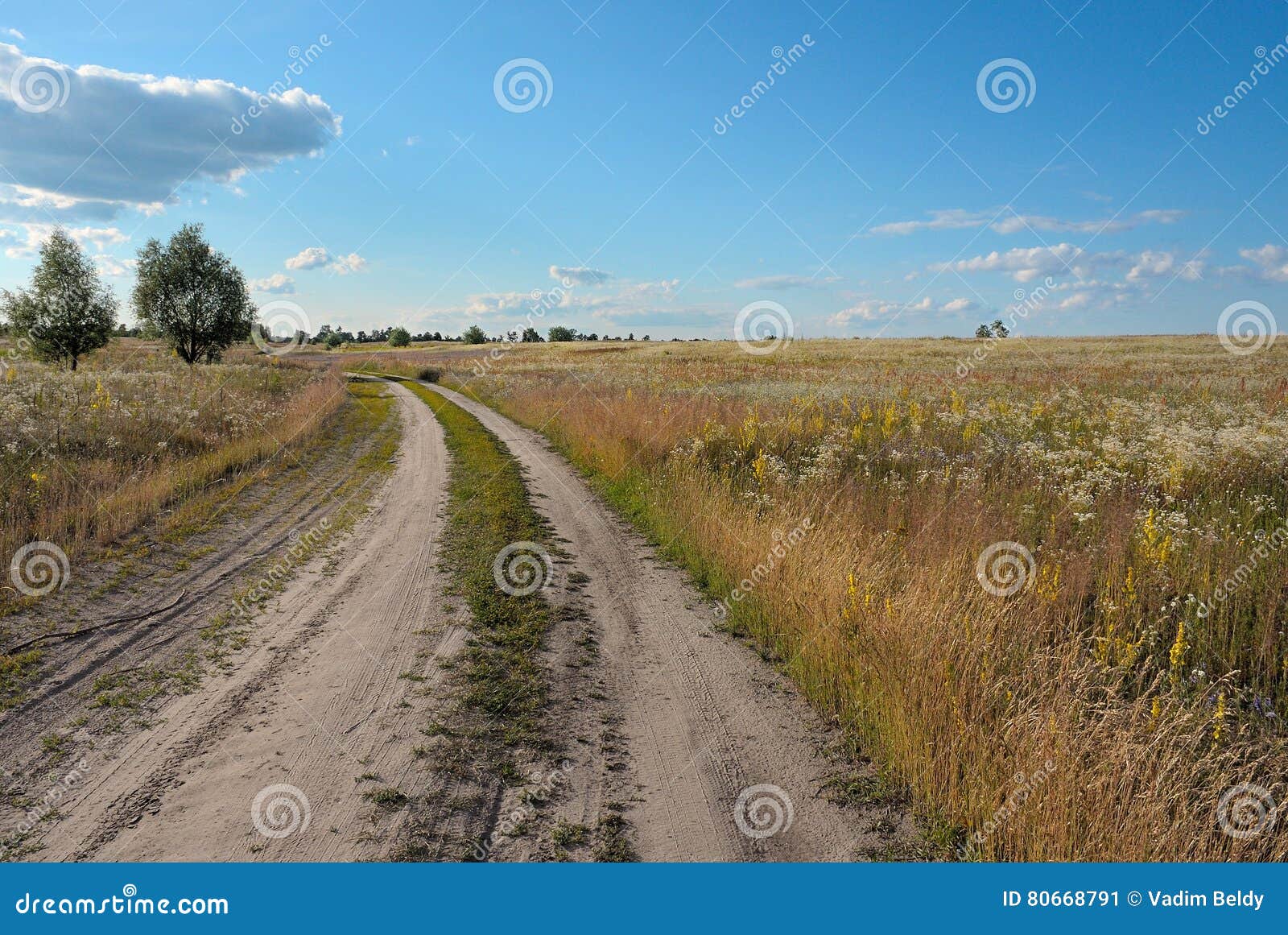 Rural motif stock image. Image of flowers, field, sunny - 80668791