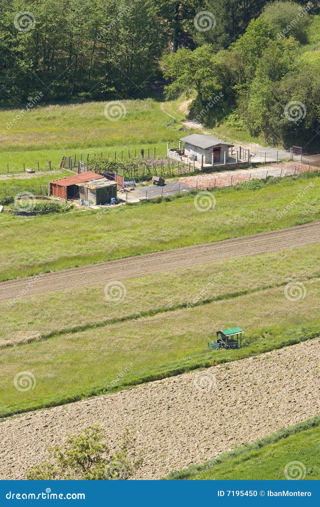 Rural Nature Agriculture Scenic Stock Photo - Image of landscape, grass ...