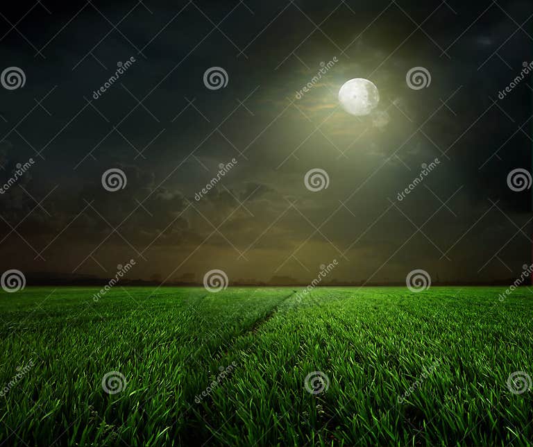 Rural night with moon stock photo. Image of beauty, backgrounds - 27457582