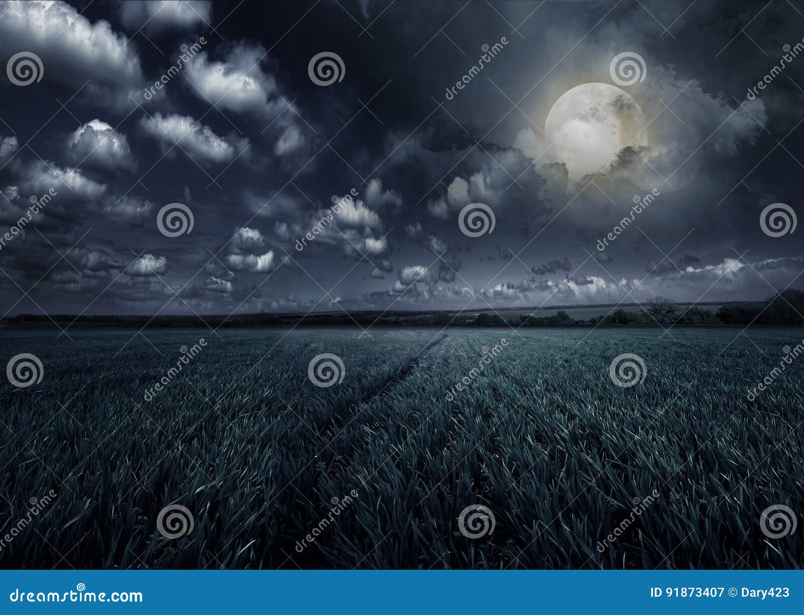 Rural night with moon stock image. Image of meadow, brightly - 91873407