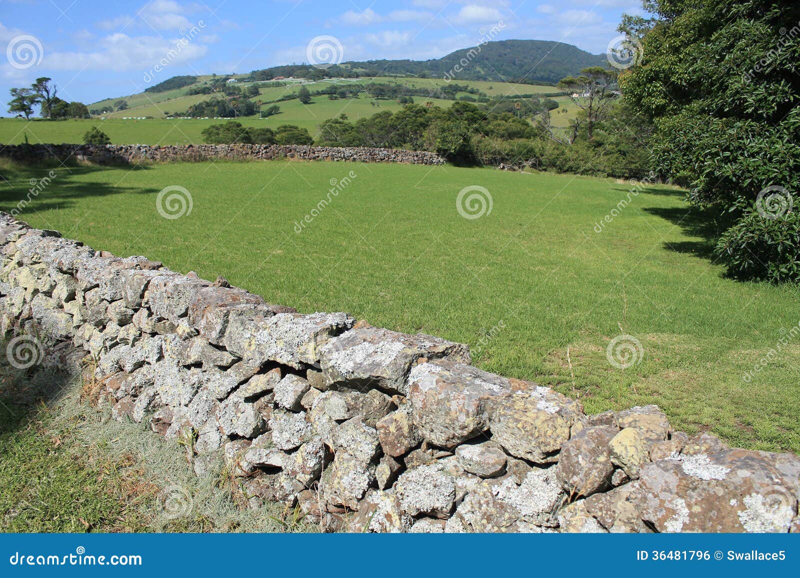 Rural NSW stock photo. Image of walls, peaceful, meadows - 36481796
