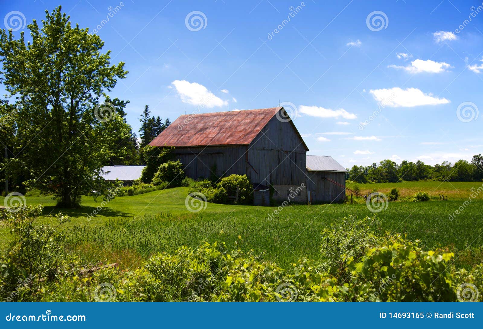 Rural Ontario countryside stock image. Image of farming - 14693165