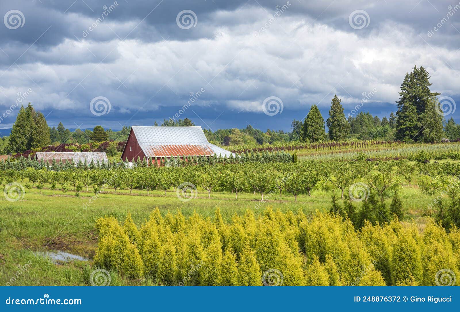 Rural Oregon Landscape and Stormy Weather Stock Photo - Image of nature ...