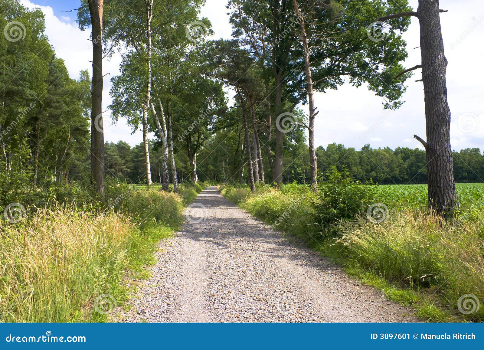Rural Path From Doolin To The Cliffs Of Moher Along The Spectacular ...