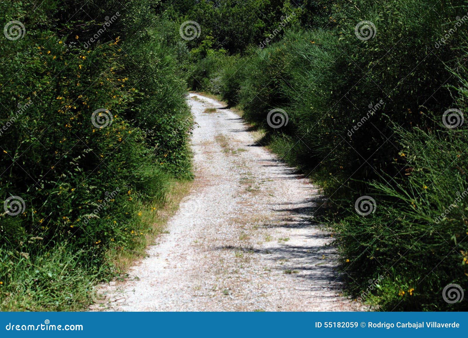 Rural path stock image. Image of rural, trekking, countryside - 55182059