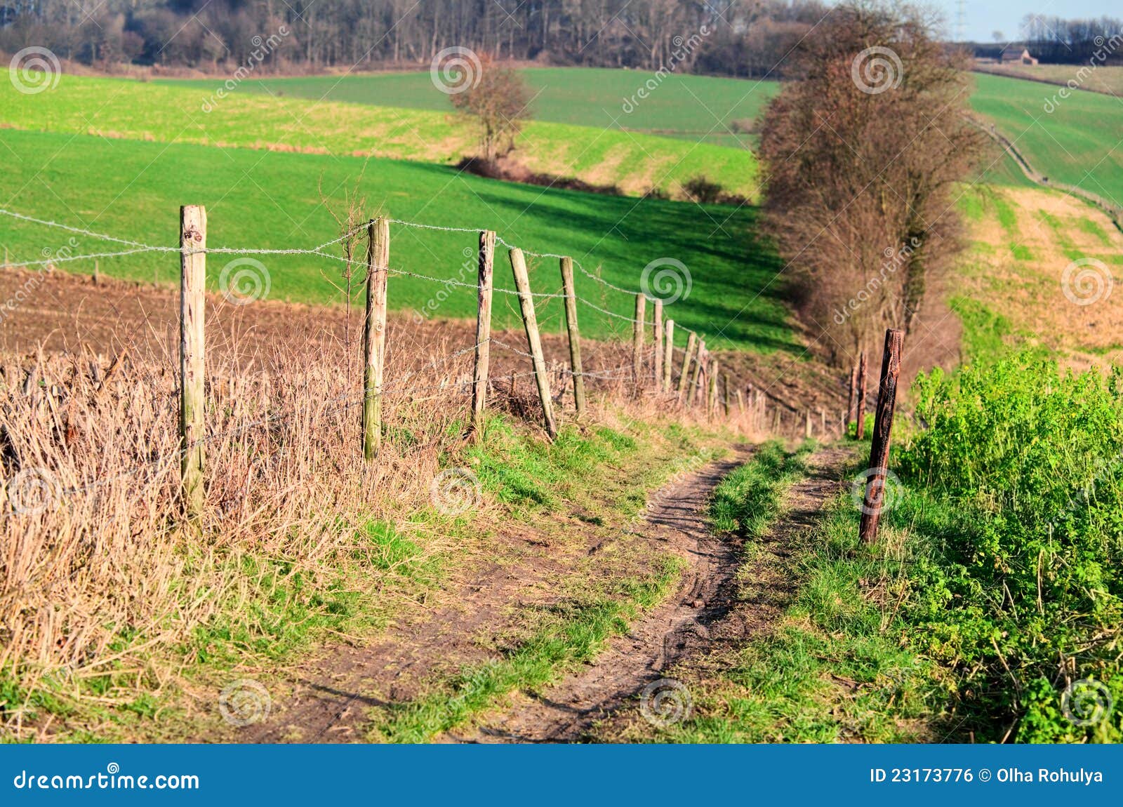 Rural Path through the Fields Stock Photo - Image of village, meadow ...