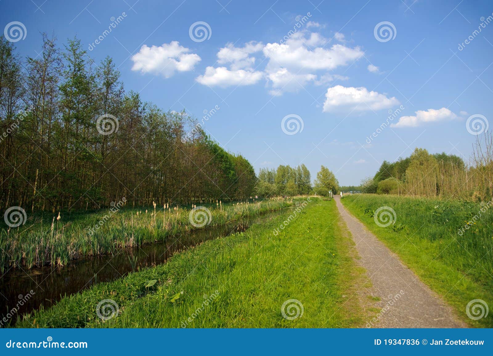 Rural Path Next To River and Forest Stock Photo - Image of rural ...